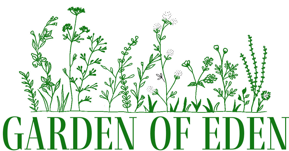 Garden of Eden 79 Flower Shop LLC